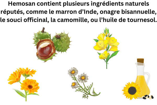 Avis Hemosan : une crème anti-hémorroïdaire efficace ...